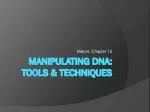 PPT - DNA Techniques PowerPoint Presentation, free download - ID:523905