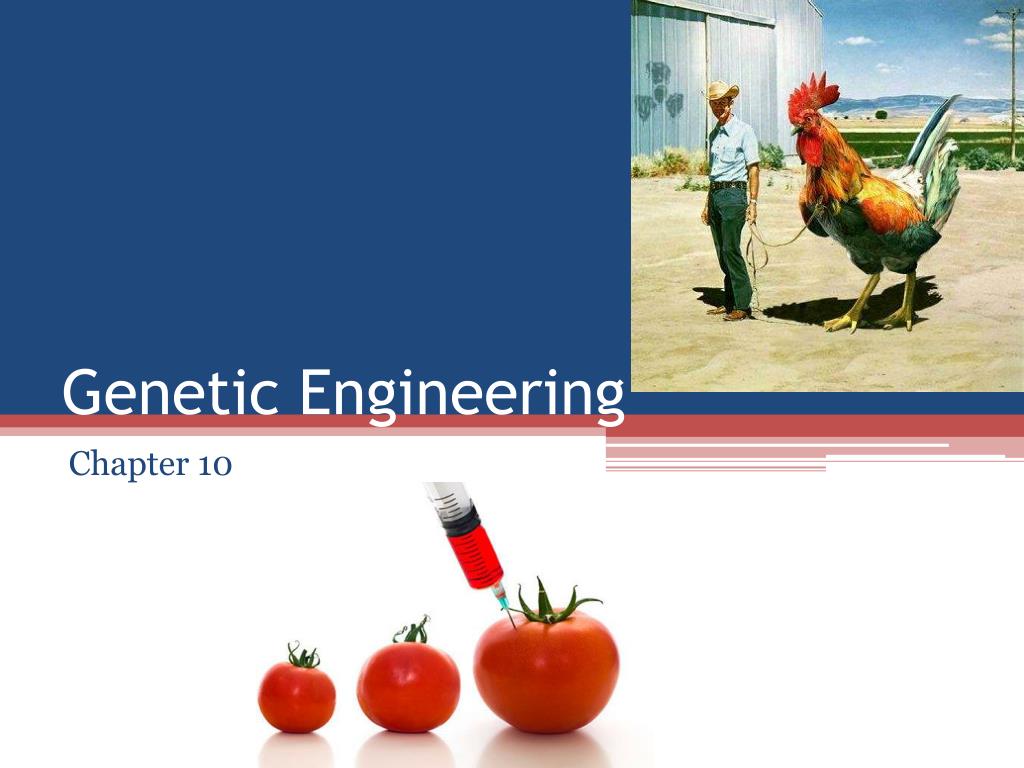 PPT - Genetic Engineering PowerPoint Presentation, free download - ID ...