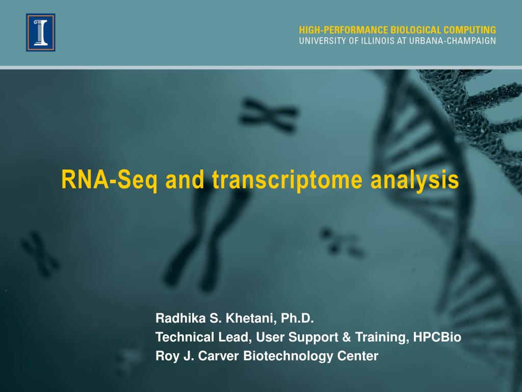 PPT - RNA-Seq and transcriptome analysis PowerPoint Presentation, free ...