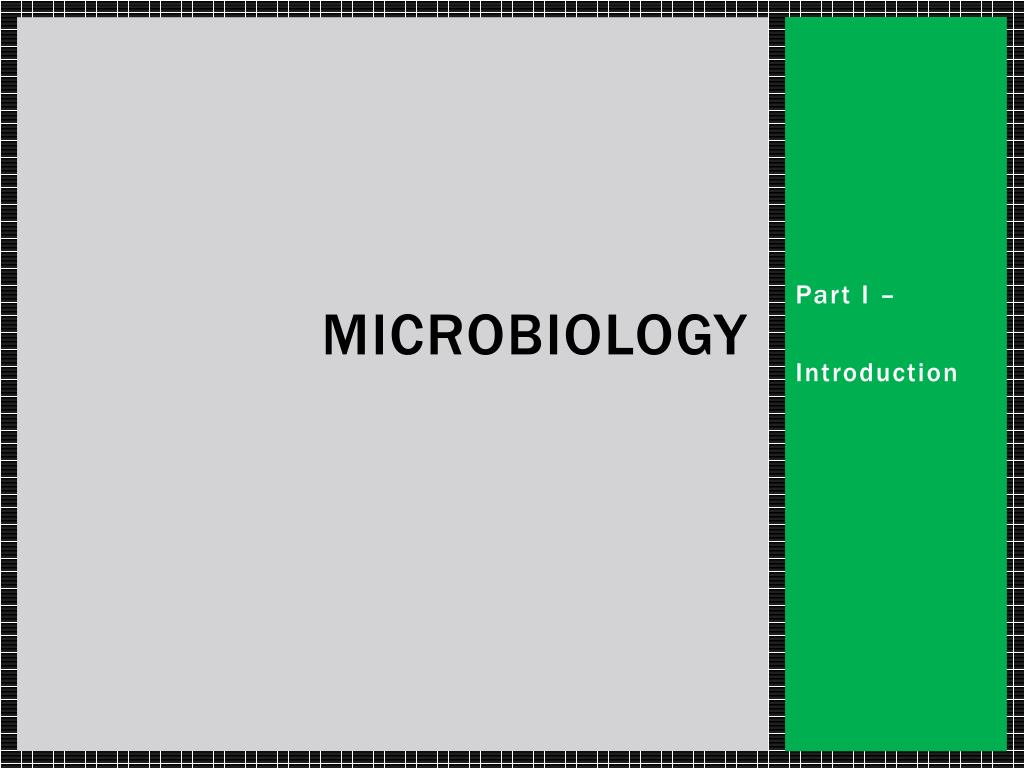 PPT - Microbiology PowerPoint Presentation, free download - ID:1605515