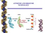 PPT - Antisense Technology PowerPoint Presentation, free download - ID ...