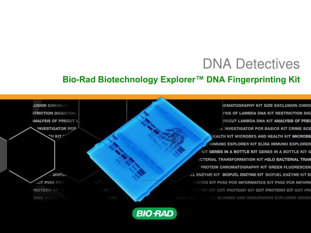 PPT - DNA Detectives PowerPoint Presentation, free download - ID:1605598