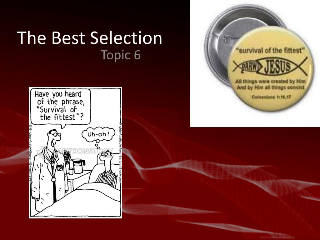 PPT - The Best Selection PowerPoint Presentation, free download - ID ...