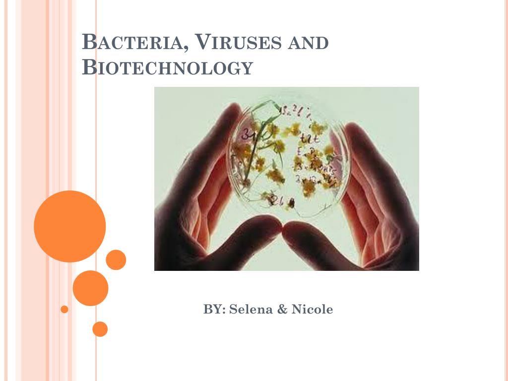 PPT - Bacteria, Viruses and Biotechnology PowerPoint Presentation, free ...