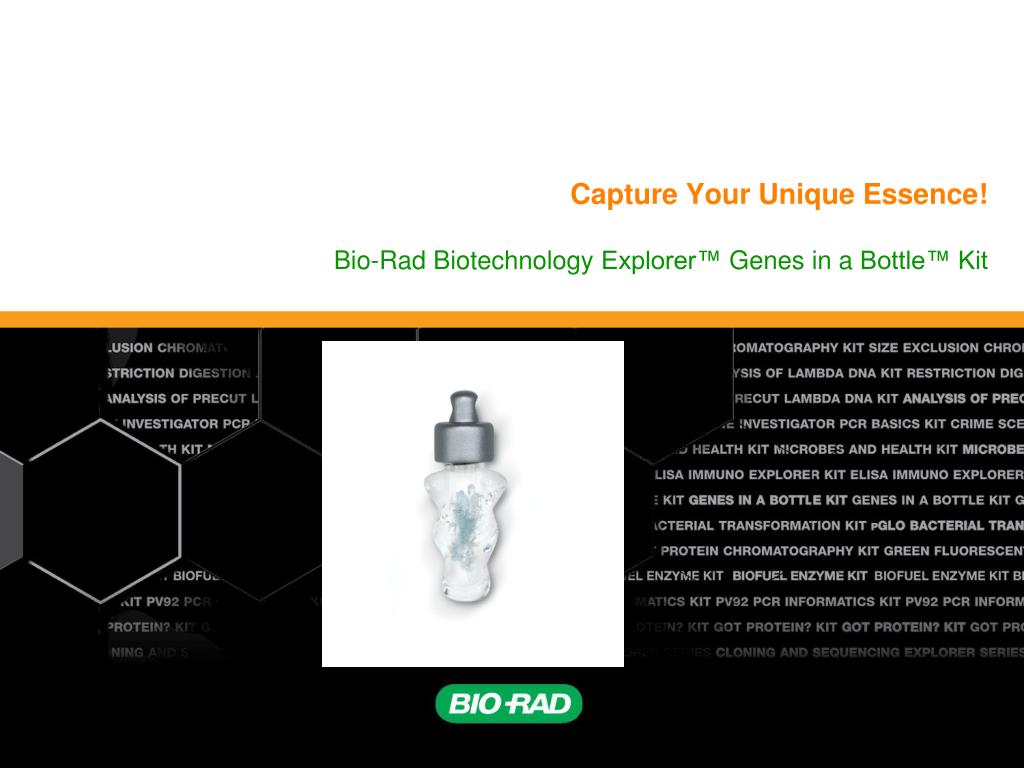 PPT - Capture Your Unique Essence! PowerPoint Presentation, free ...