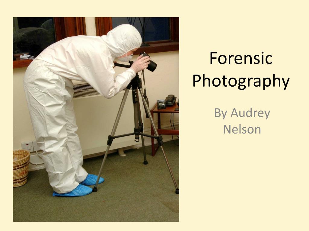 PPT - Forensic Photography PowerPoint Presentation, free download - ID ...
