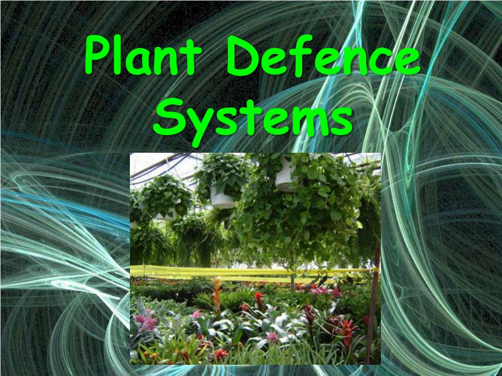 PPT - Plant Defence Systems PowerPoint Presentation, free download - ID ...