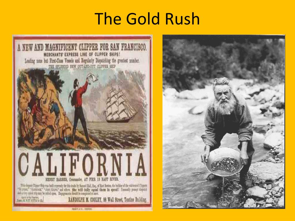 PPT - The Gold Rush PowerPoint Presentation, free download - ID:1607148