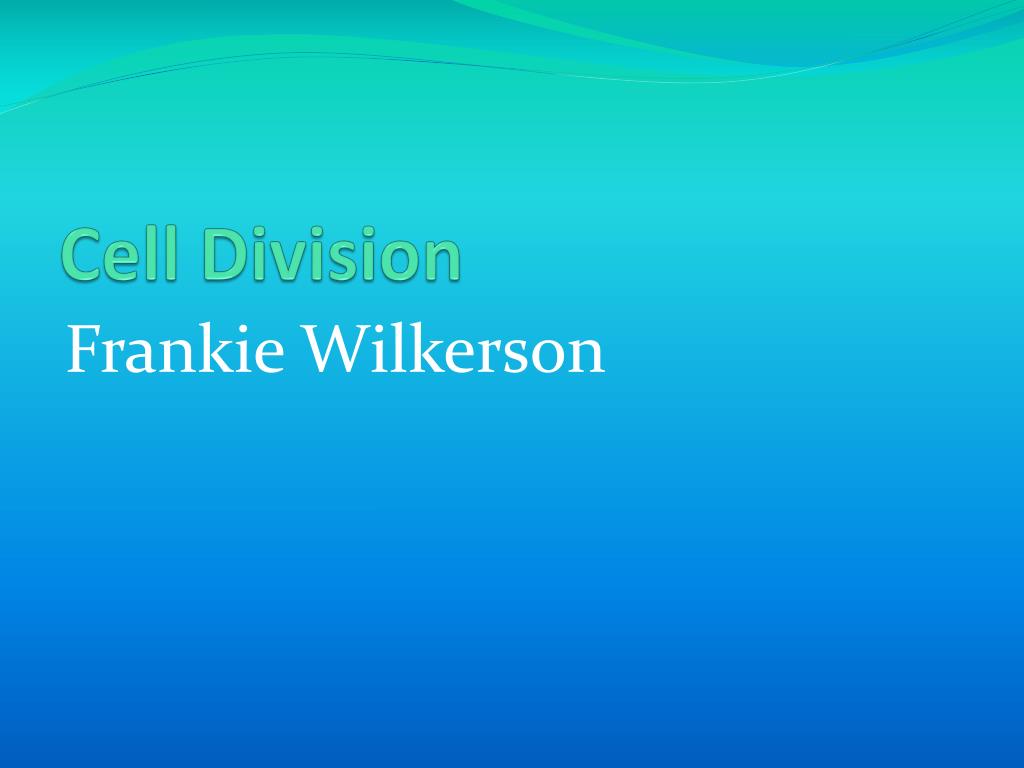 PPT - Cell Division Stages Explained: A Simple Guide PowerPoint ...