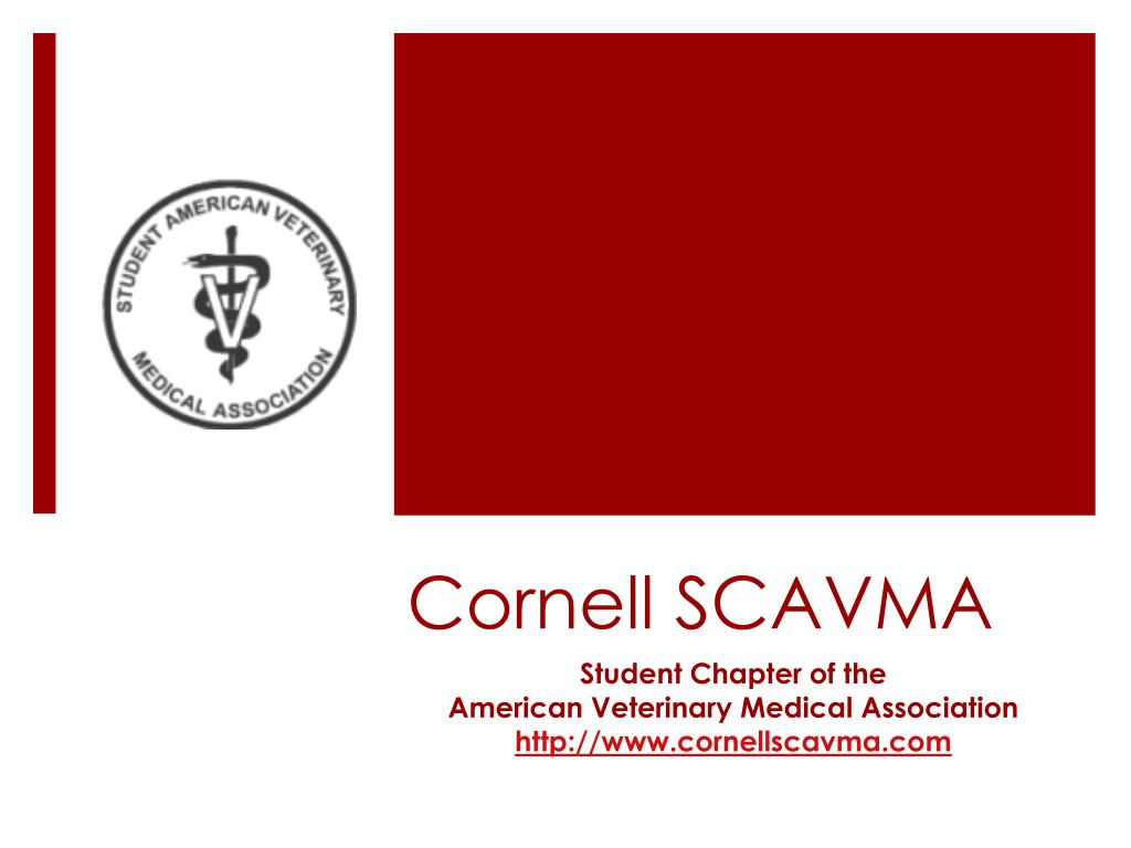 PPT - Cornell SCAVMA PowerPoint Presentation, free download - ID:1611158