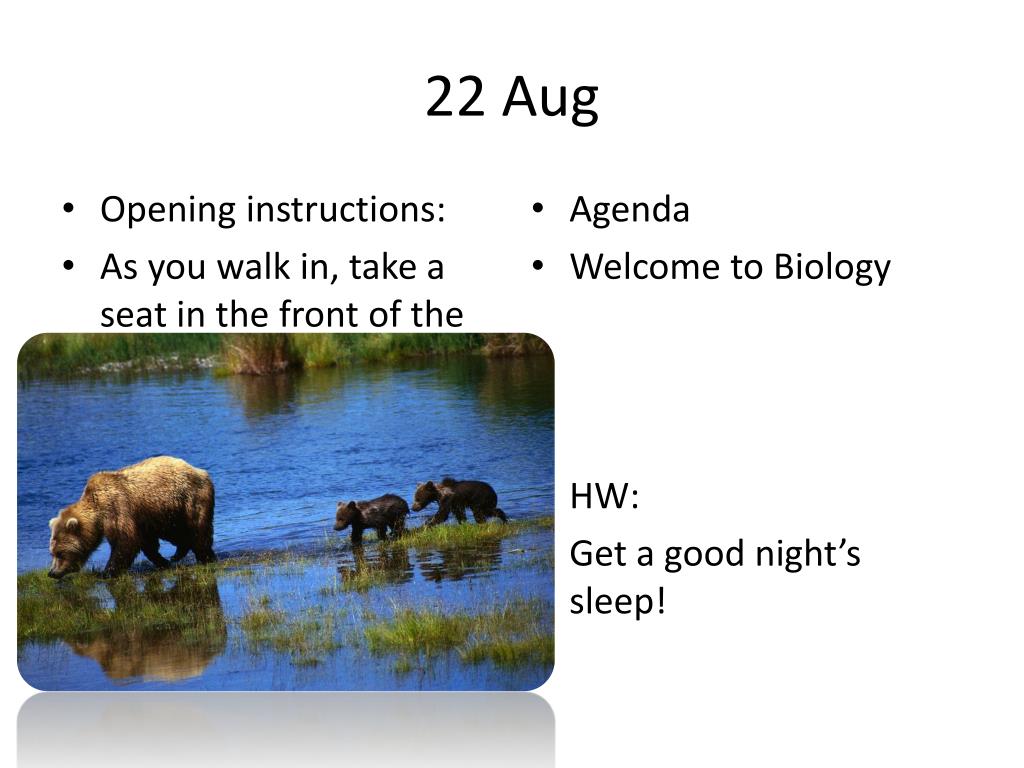PPT - 22 Aug PowerPoint Presentation, free download - ID:1612481