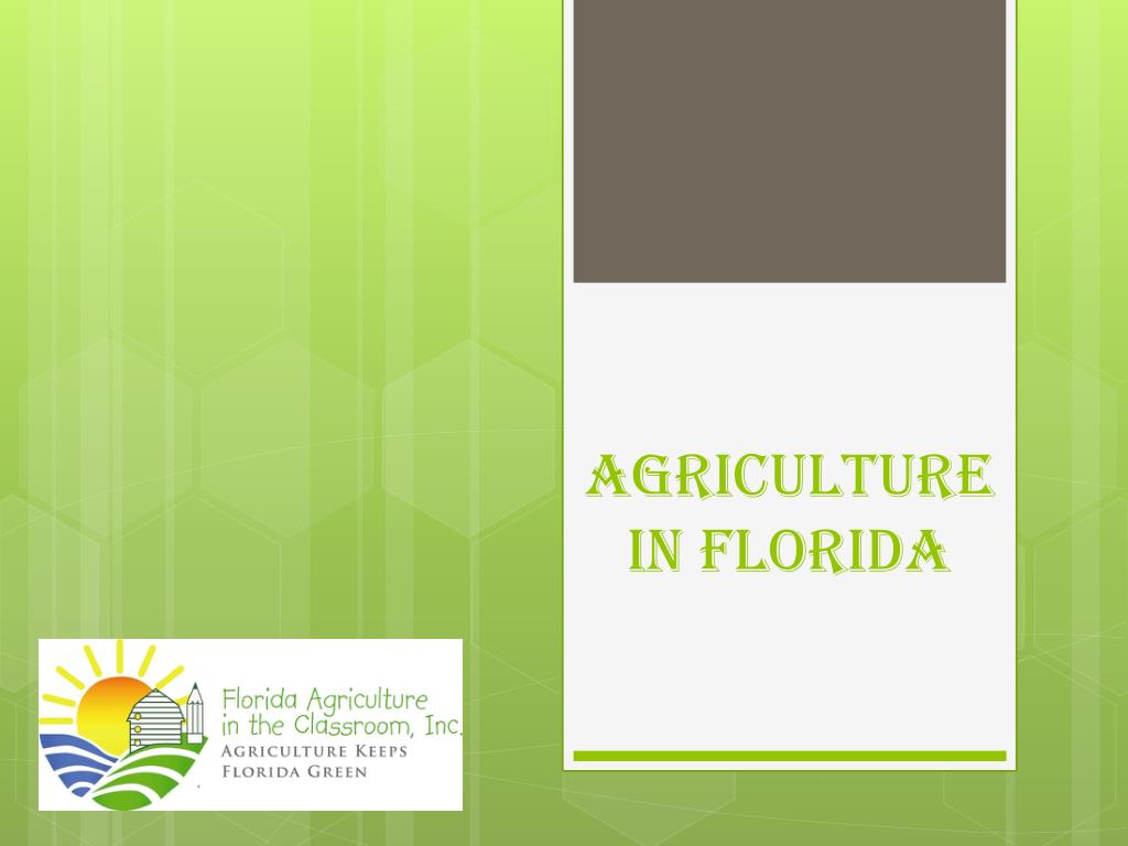 PPT - Agriculture In Florida PowerPoint Presentation, free download ...
