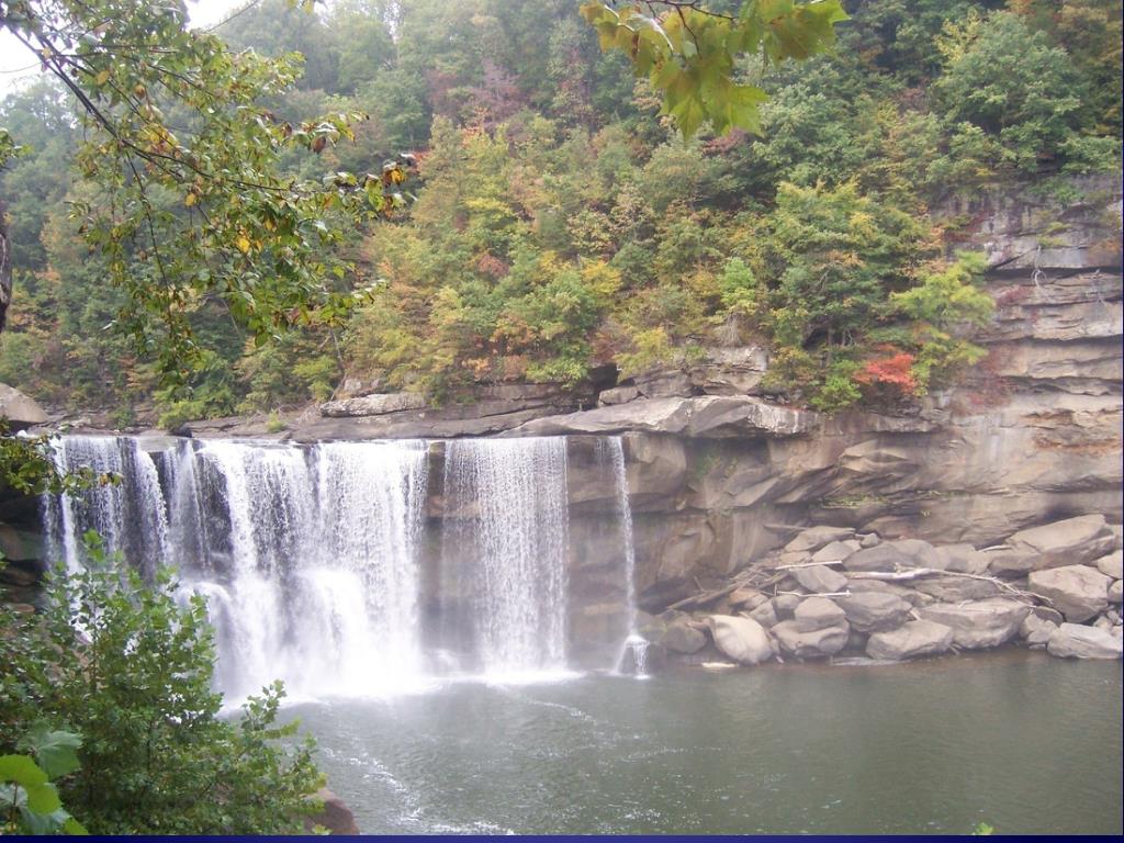 PPT - The LPM A Tool for Successful Professional and Personal ...