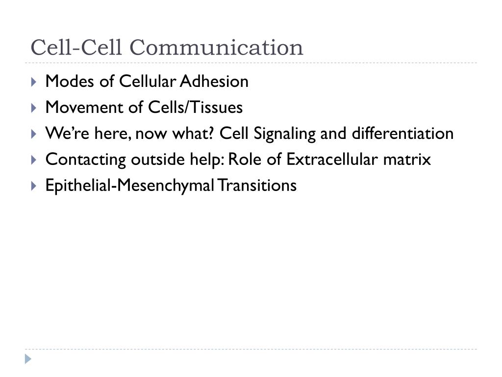 PPT - Cell-Cell Communication PowerPoint Presentation, free download ...