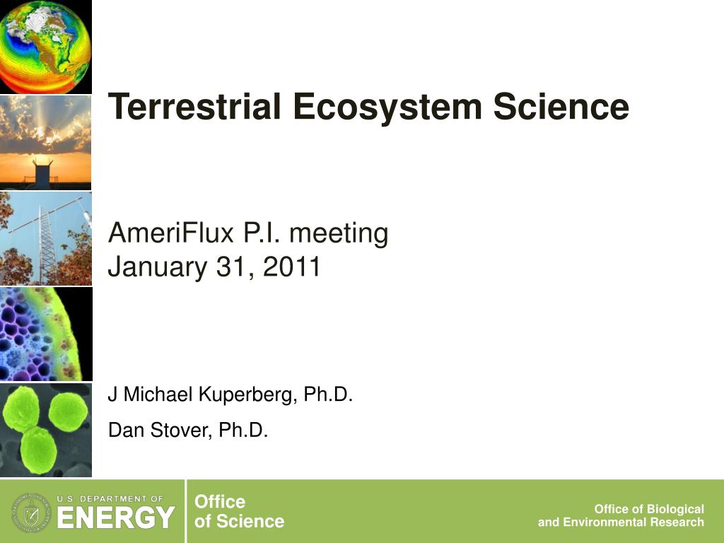 PPT - Terrestrial Ecosystem Science PowerPoint Presentation, free ...
