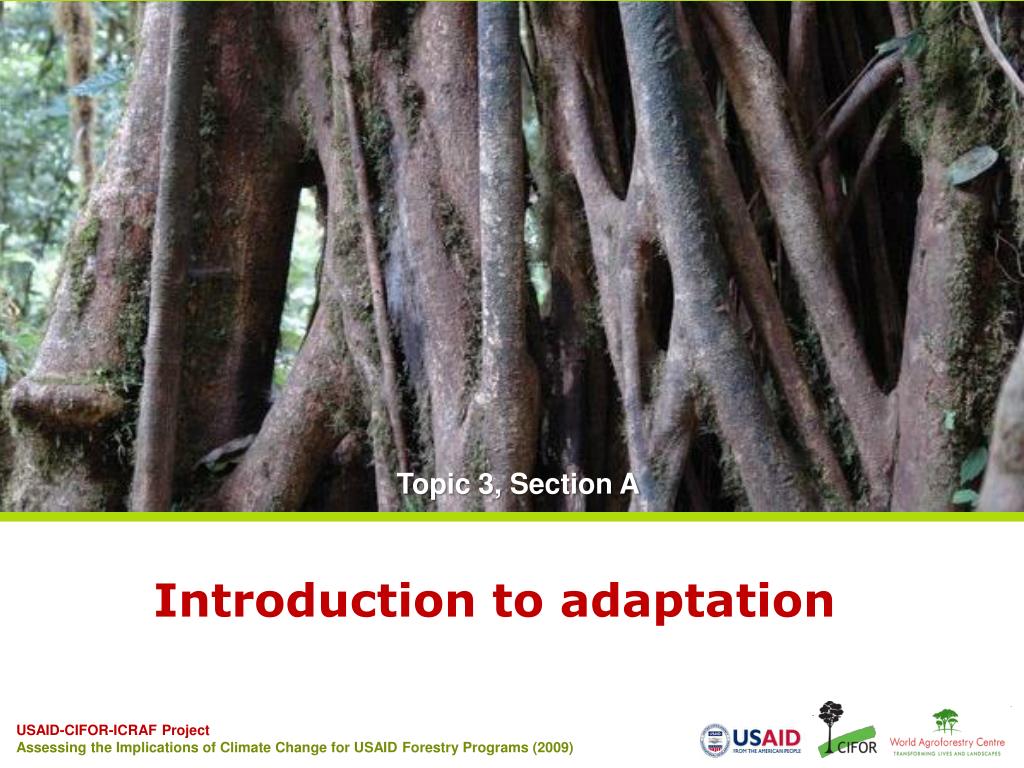 PPT - Introduction to adaptation PowerPoint Presentation, free download ...