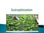 PPT - 5. EUTROPHICATION OF LAKES PowerPoint Presentation, free download ...