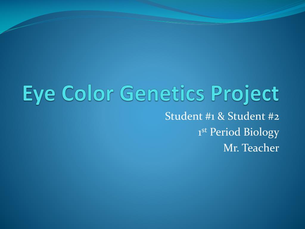 PPT - Eye Color Genetics Project PowerPoint Presentation, free download ...
