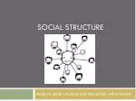 PPT - Social Structure PowerPoint Presentation, free download - ID:3014130