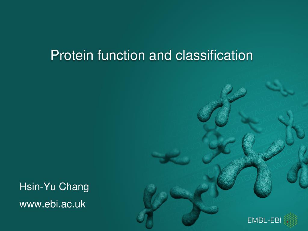PPT - Protein function and classification PowerPoint Presentation, free ...