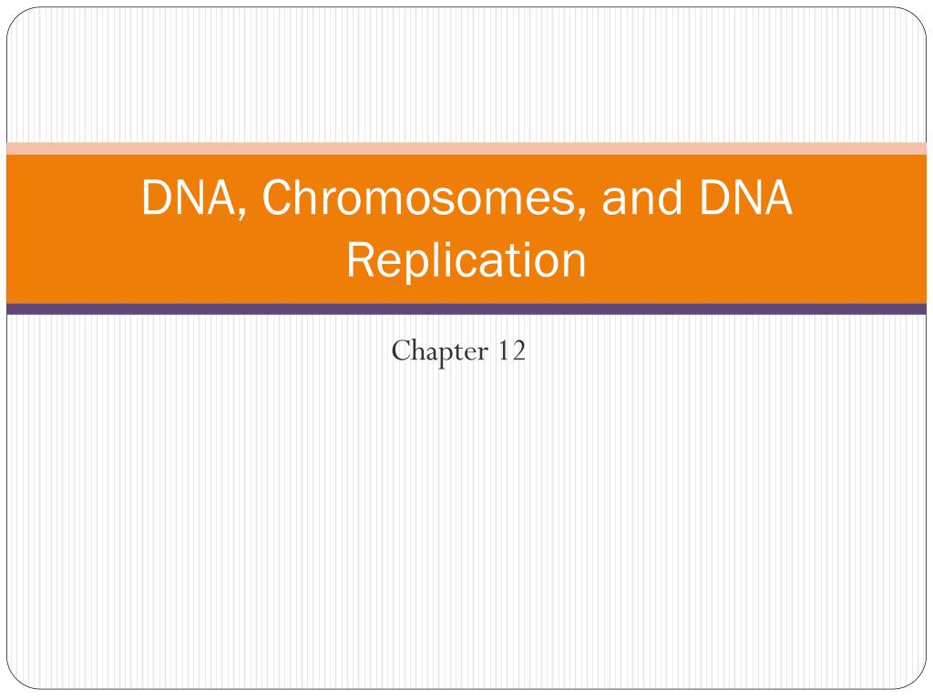 PPT - DNA, Chromosomes, and DNA Replication PowerPoint Presentation ...