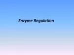 PPT - REGULATION OF ENZYME ACTIVITY PowerPoint Presentation, free ...