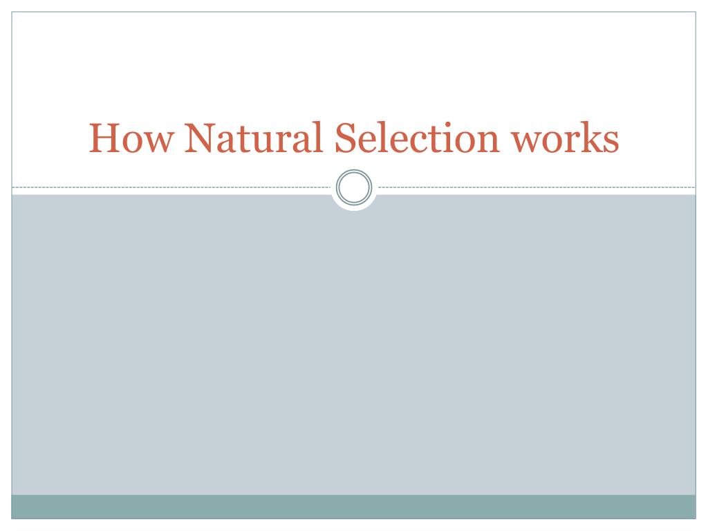 PPT - How Natural Selection works PowerPoint Presentation, free ...
