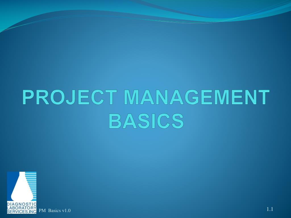 PPT - PROJECT MANAGEMENT BASICS PowerPoint Presentation, free download ...