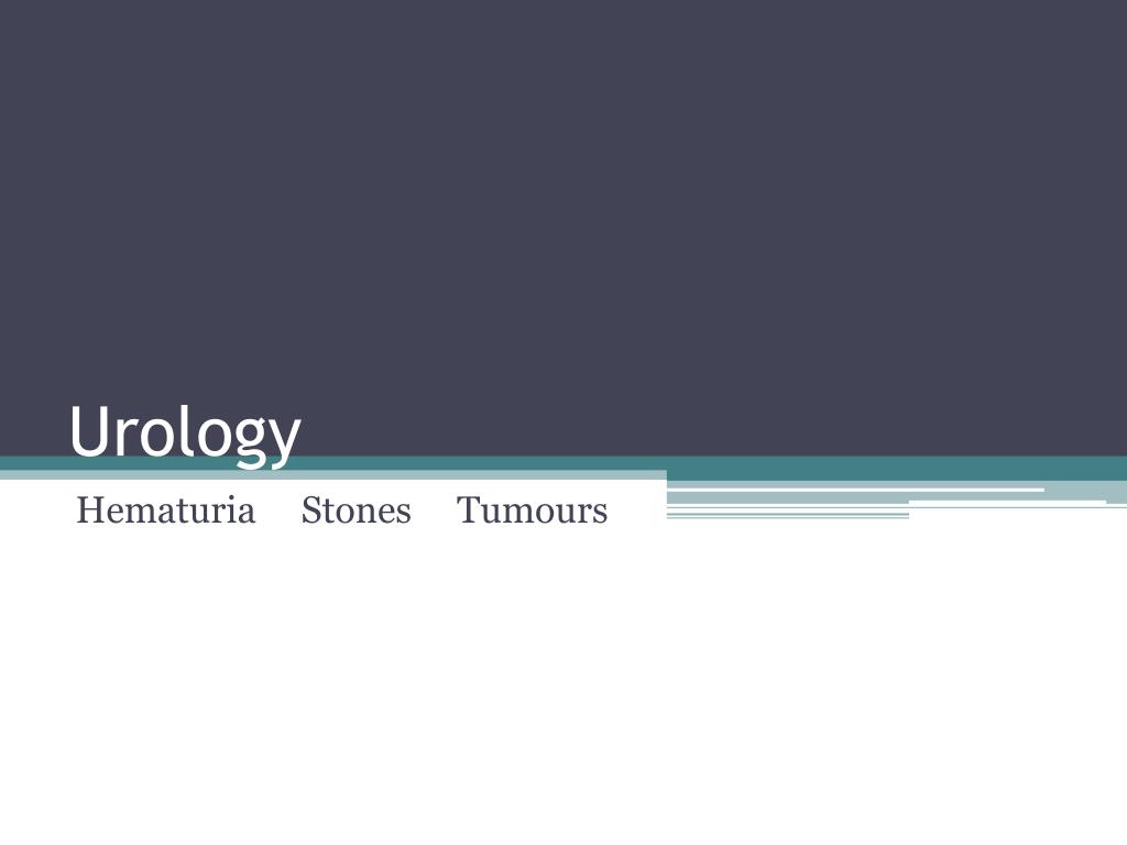 PPT - Urology PowerPoint Presentation, free download - ID:1649237