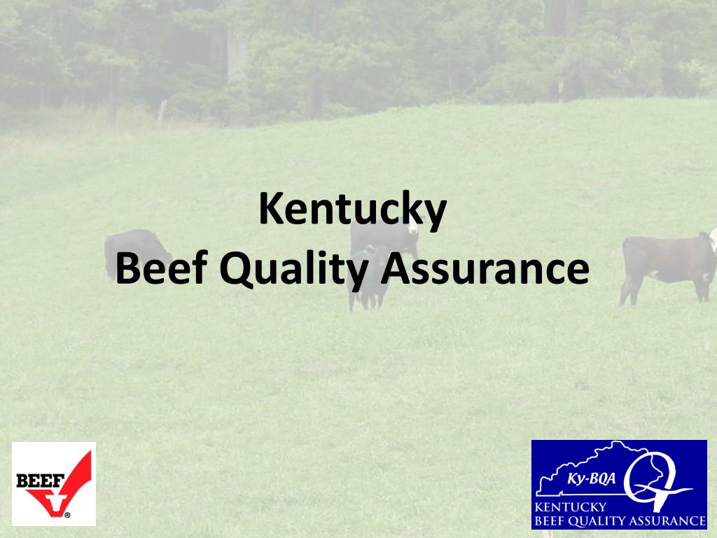 PPT - Kentucky Beef Quality Assurance PowerPoint Presentation, free ...