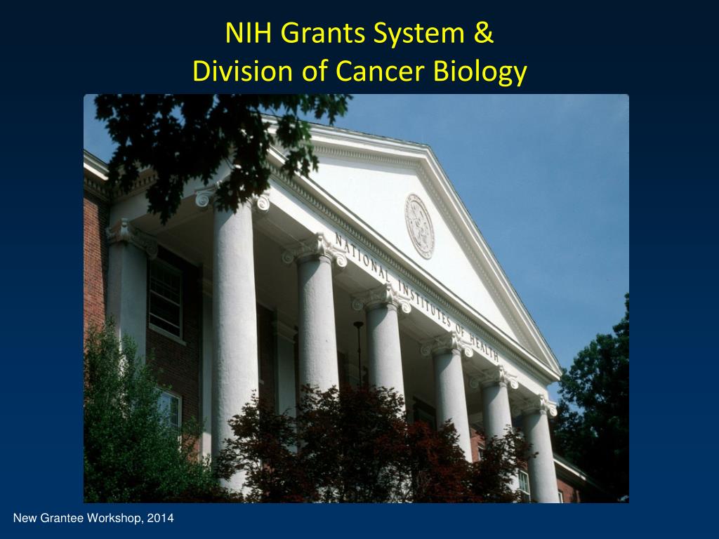 Ppt Introduction To The Nih Grants System Powerpoint Presentation