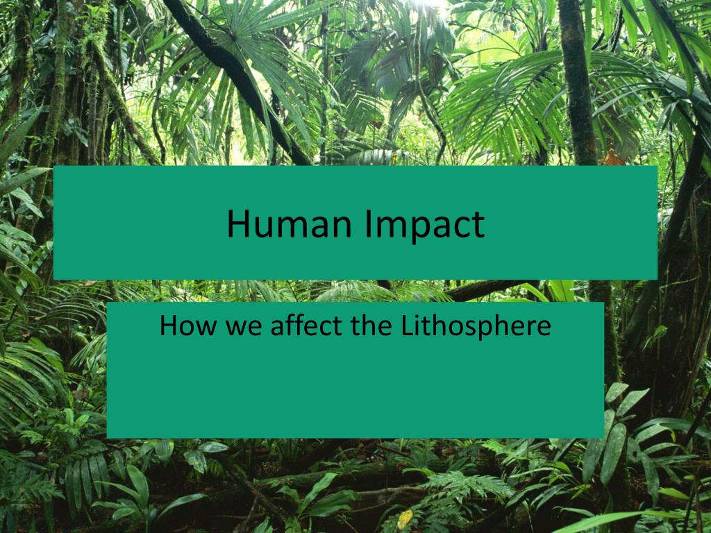PPT - Human Impact PowerPoint Presentation, free download - ID:1677532
