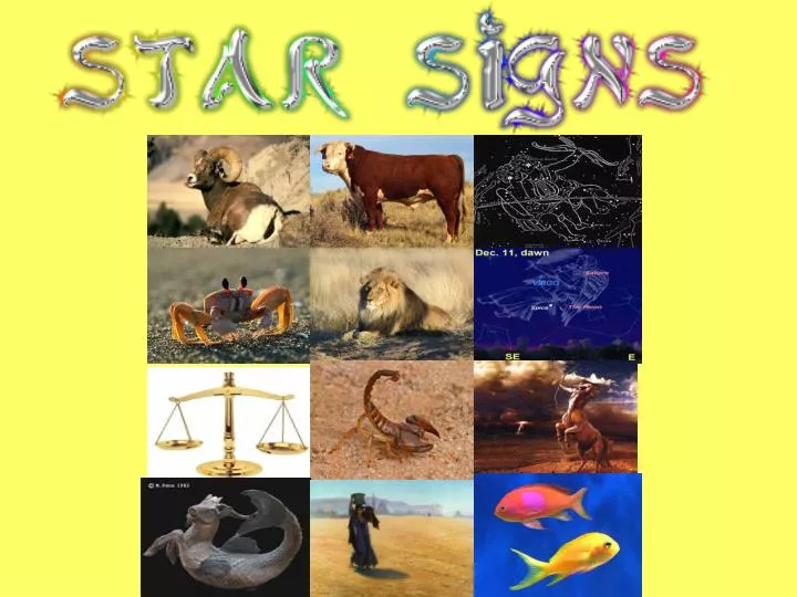 PPT What Is A Star Sign PowerPoint Presentation Free Download ID PPT What Is A Star Sign PowerPoint Presentation Free Download ID
