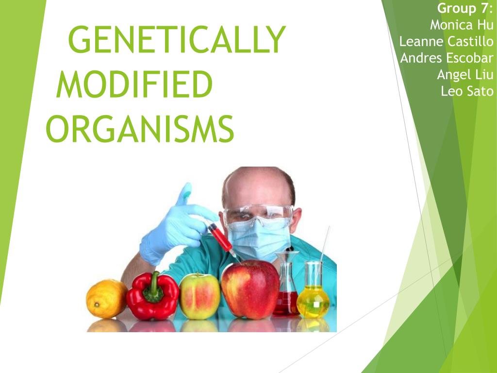 PPT - GENETICALLY MODIFIED ORGANISMS PowerPoint Presentation, free ...