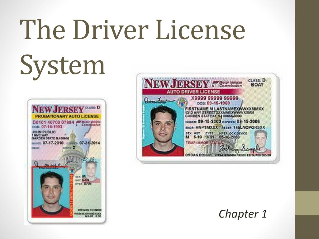 PPT - The Driver License System PowerPoint Presentation, free download ...