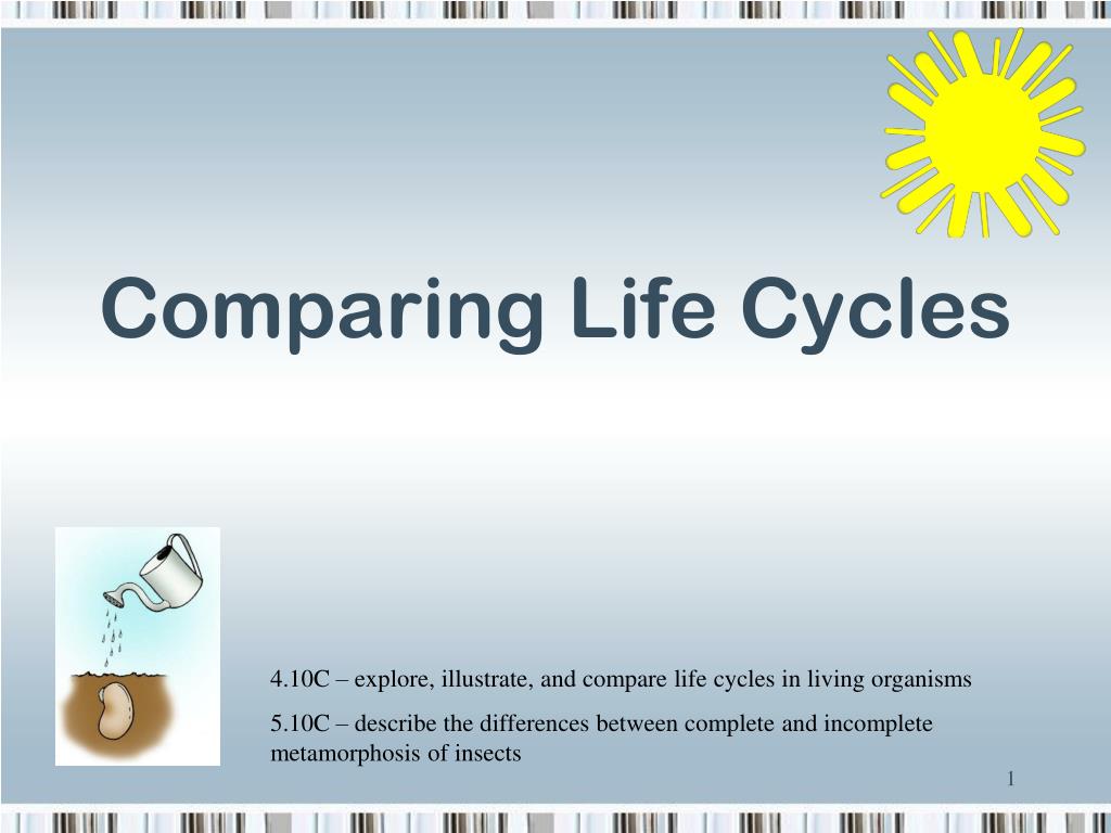 PPT - Comparing Life Cycles PowerPoint Presentation, free download - ID ...