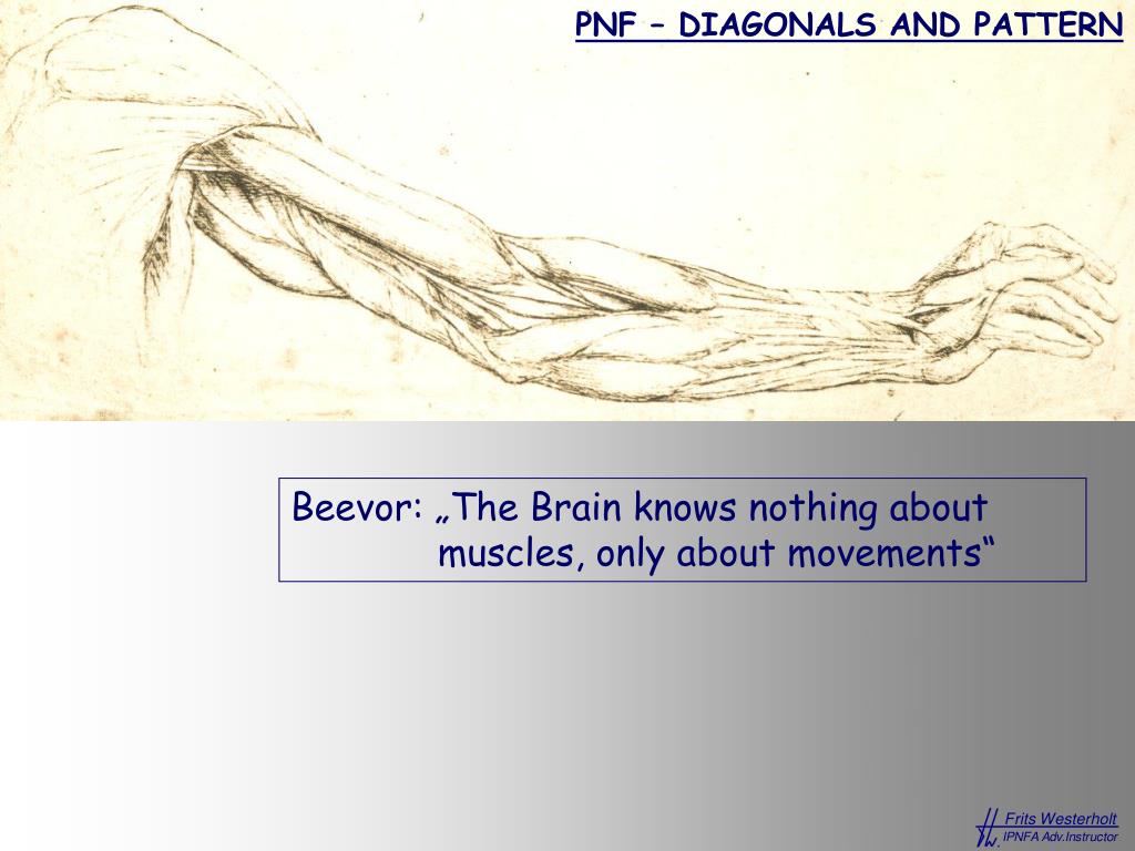 PPT - PNF – DIAGONALS AND PATTERN PowerPoint Presentation, free ...