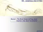 PPT - Proprioceptive Neuromuscular Facilitation (PNF) PowerPoint ...