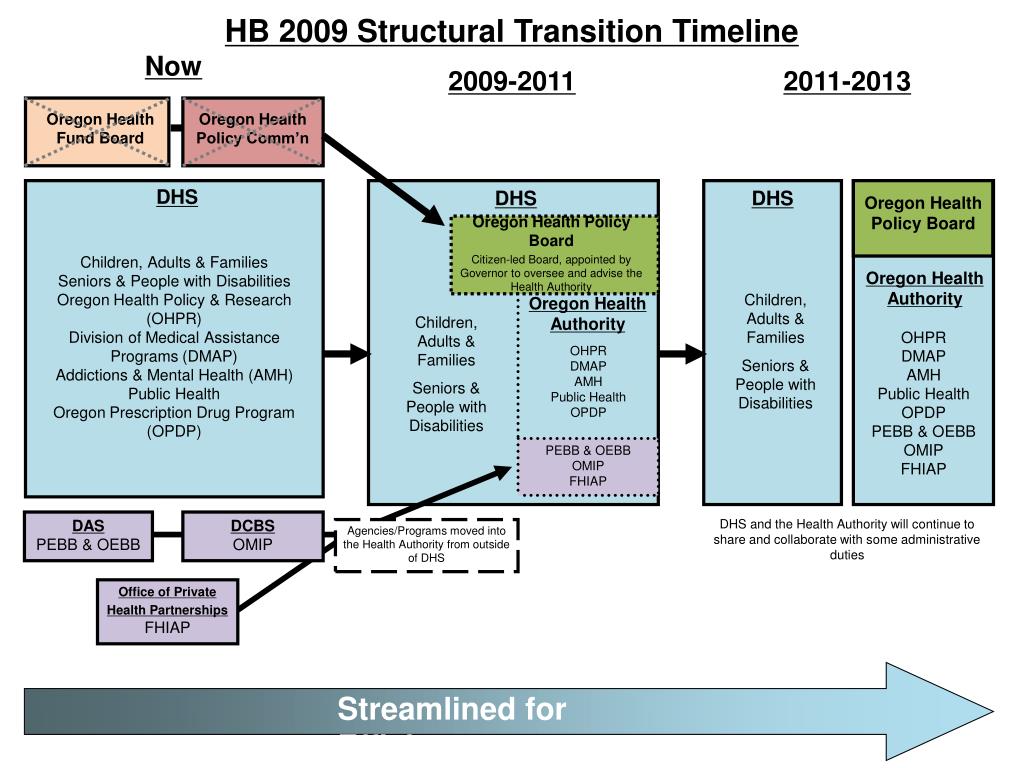 PPT - DHS PowerPoint Presentation, free download - ID:1700641