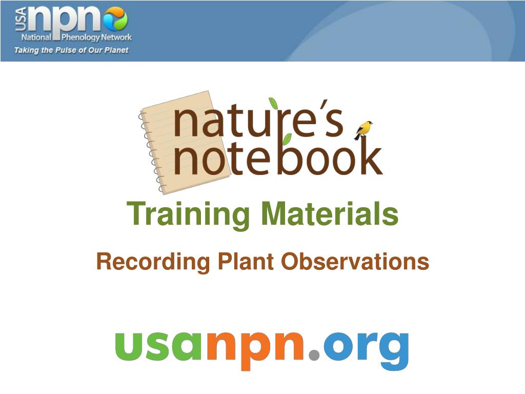PPT - Training Materials PowerPoint Presentation, free download - ID ...