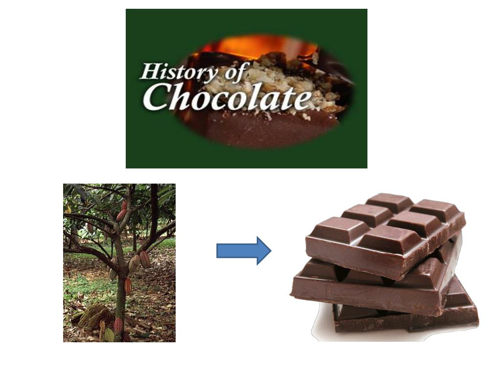 PPT - Cacao Tree PowerPoint Presentation, free download - ID:1701419