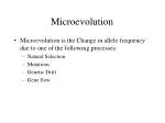 PPT - Microevolution Ch. 20 PowerPoint Presentation, free download - ID ...
