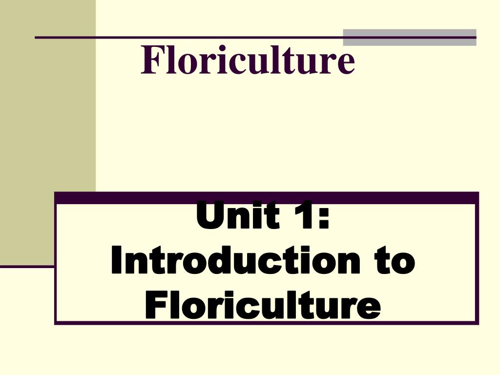 PPT - Floriculture PowerPoint Presentation, free download - ID:1702458