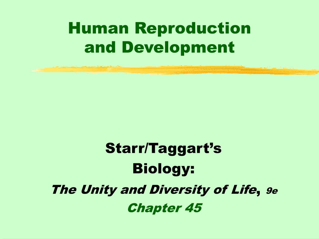 PPT - Human Reproduction and Development PowerPoint Presentation, free ...