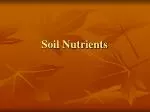 PPT - Soil Nutrients PowerPoint Presentation, free download - ID:523008