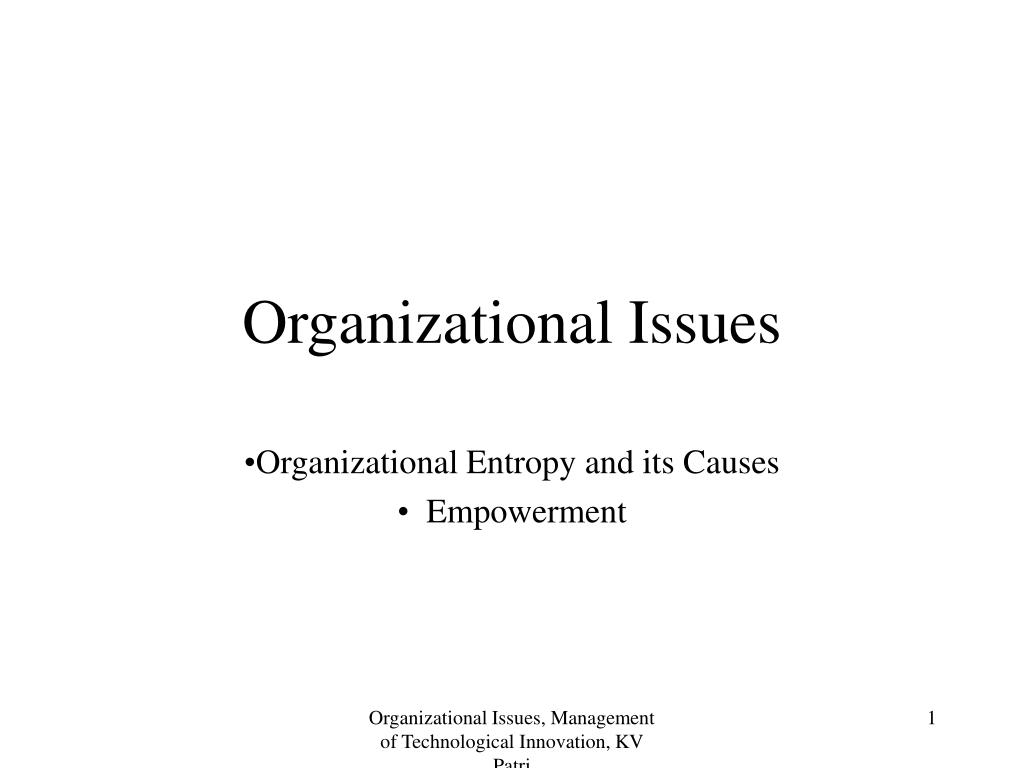 PPT - Organizational Issues PowerPoint Presentation, free download - ID ...