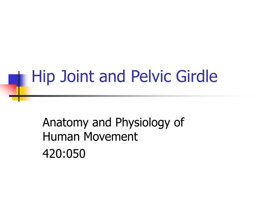 PPT - Hip Joint and Pelvic Girdle PowerPoint Presentation, free ...