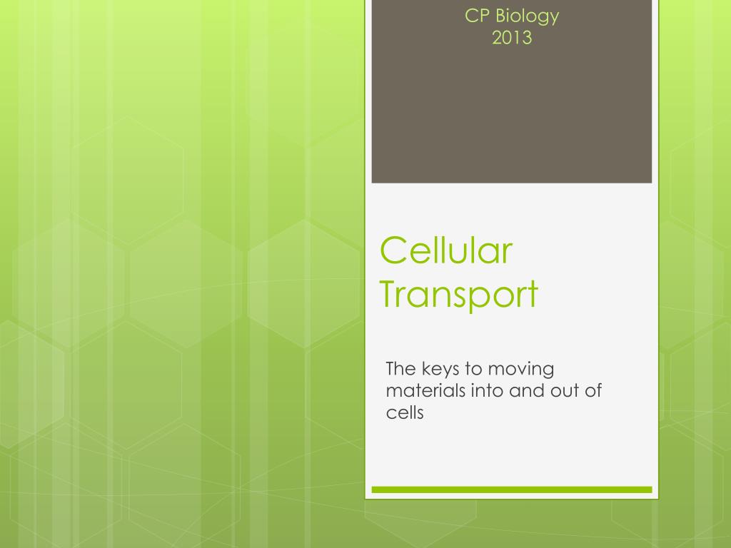 PPT - Cellular Transport PowerPoint Presentation, free download - ID ...