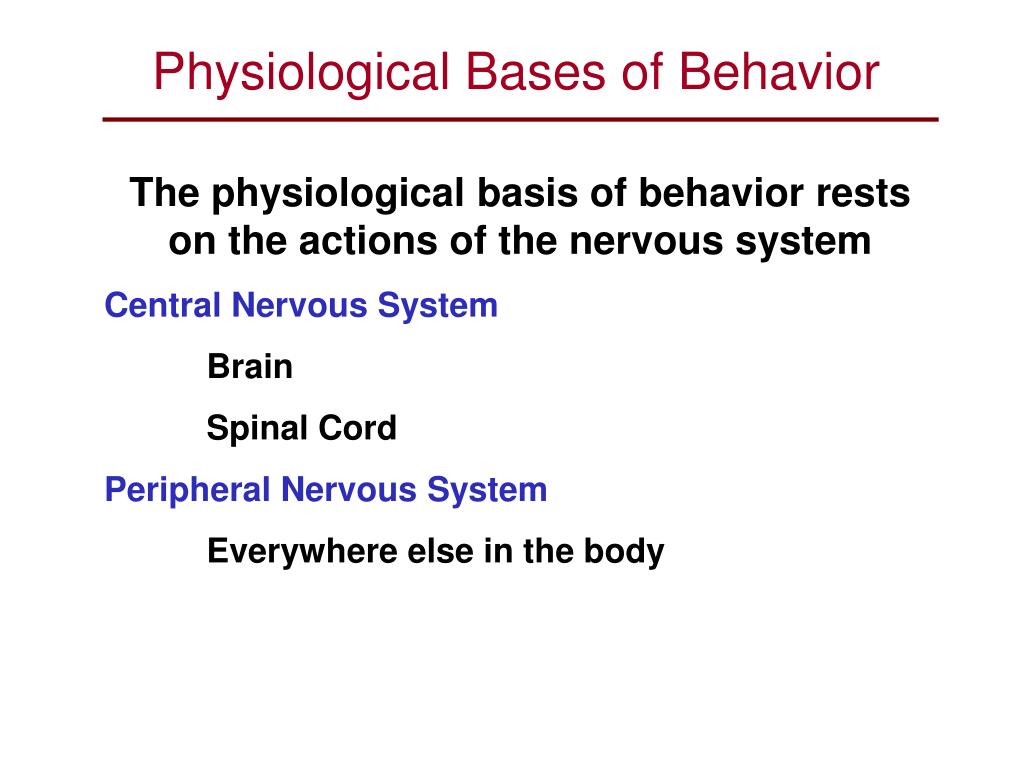 PPT - Physiological Bases of Behavior PowerPoint Presentation, free ...