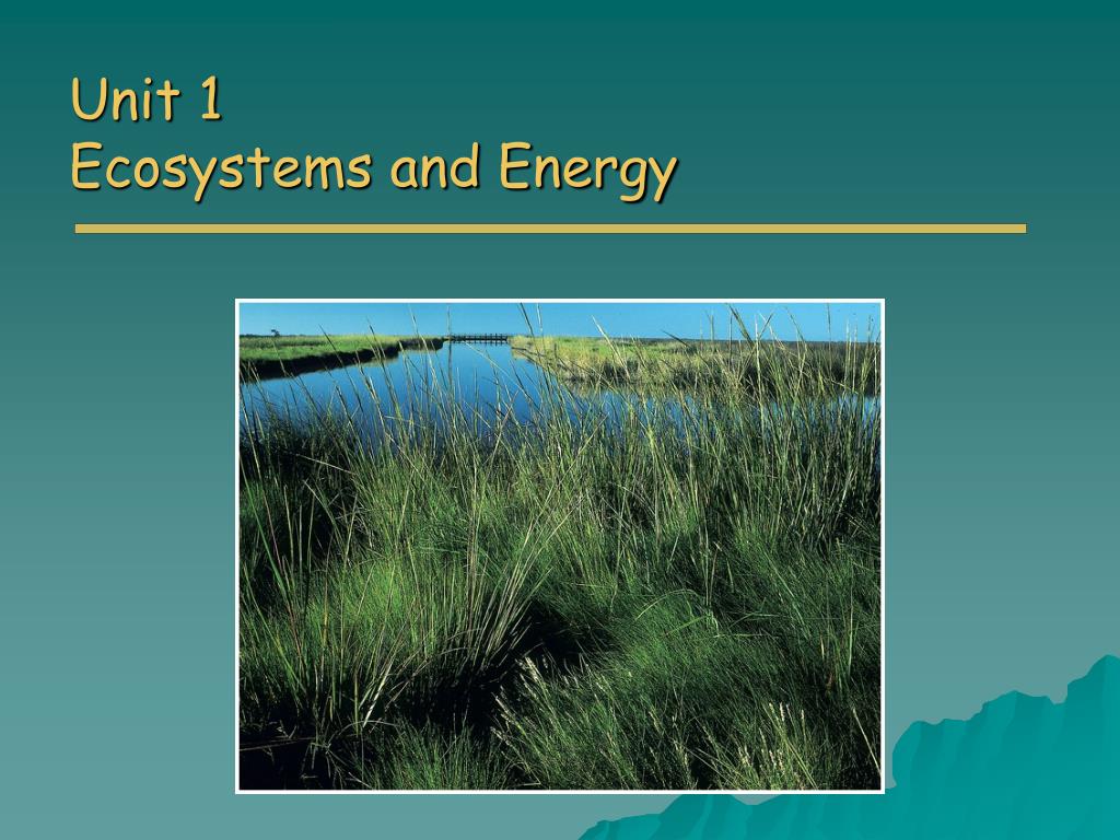 PPT - Unit 1 Ecosystems and Energy PowerPoint Presentation, free ...